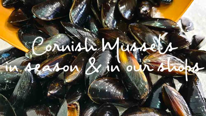 Fresh Cornish Mussels - Walter Purkis and Sons